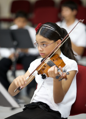 Musical Intelligence (AKA Music Smart) | Kidzmet